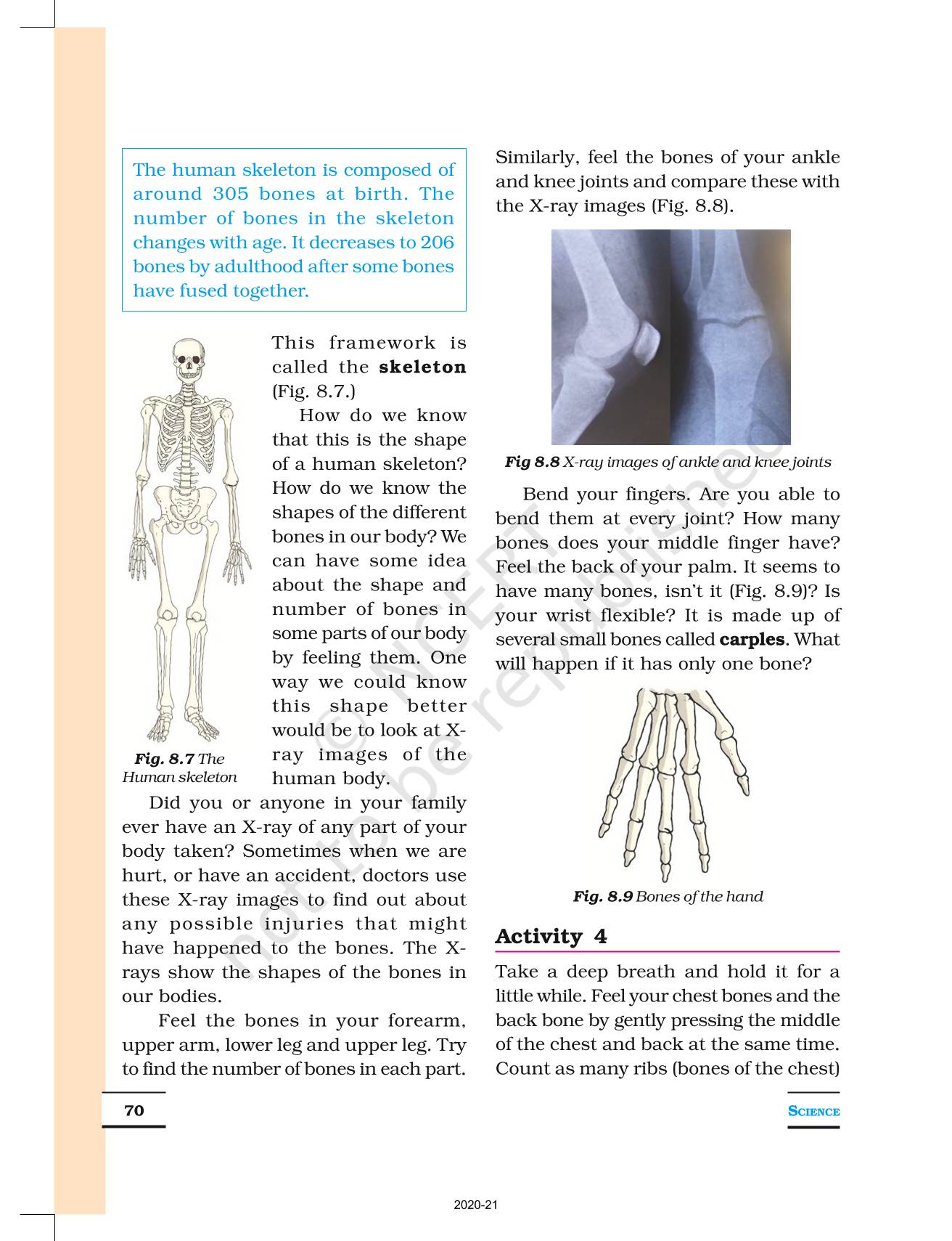 Body Movements Ncert Book Of Class 6 Science